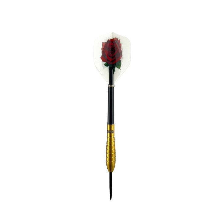 TONY DAVID GOLDEN Darts - 90% Tungsten – Münchner Dartcenter
